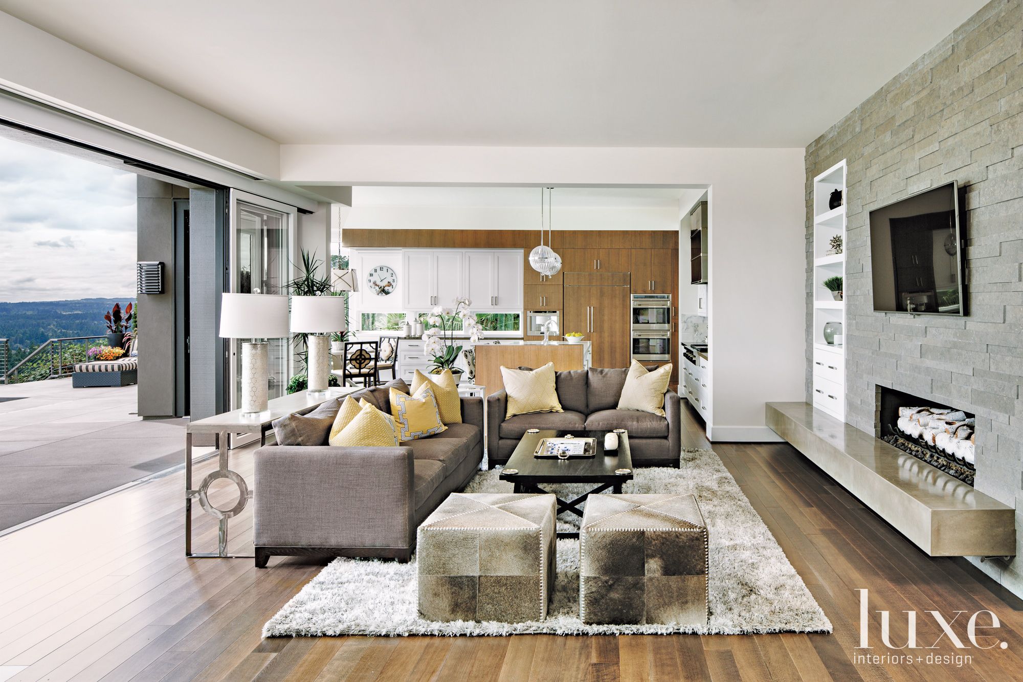 Modern Gray Living Room - Luxe Interiors + Design