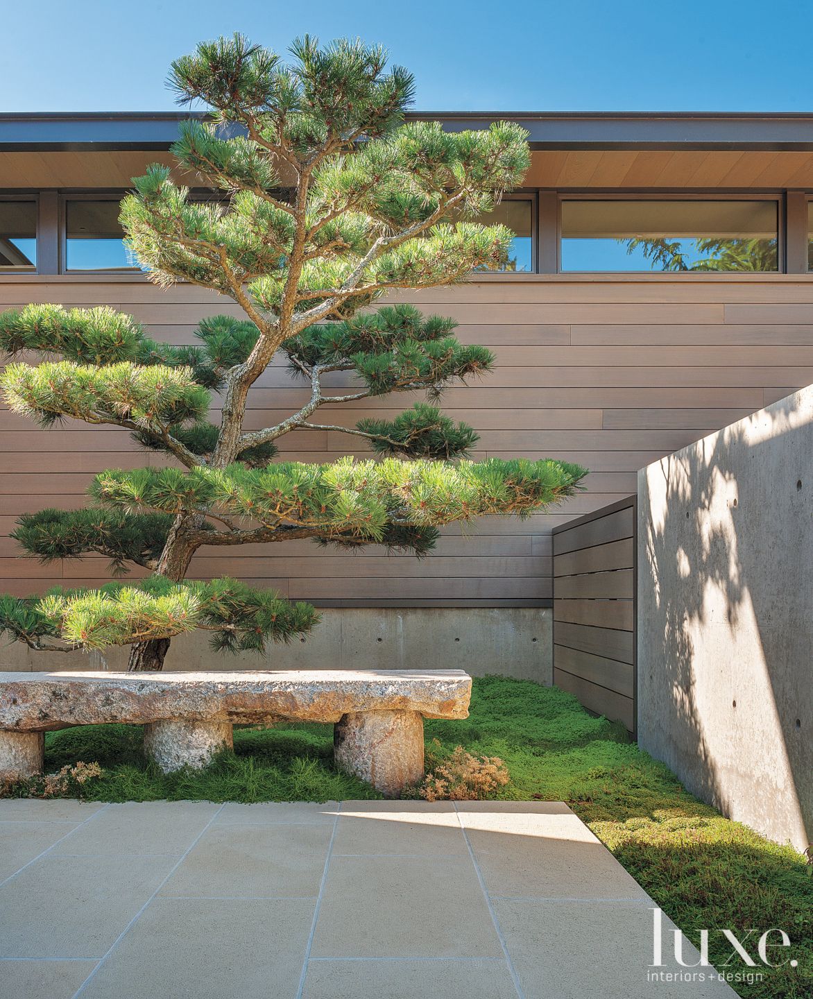 Contemporary Neutral Outdoor Seating with Japanese Pines - Luxe ...