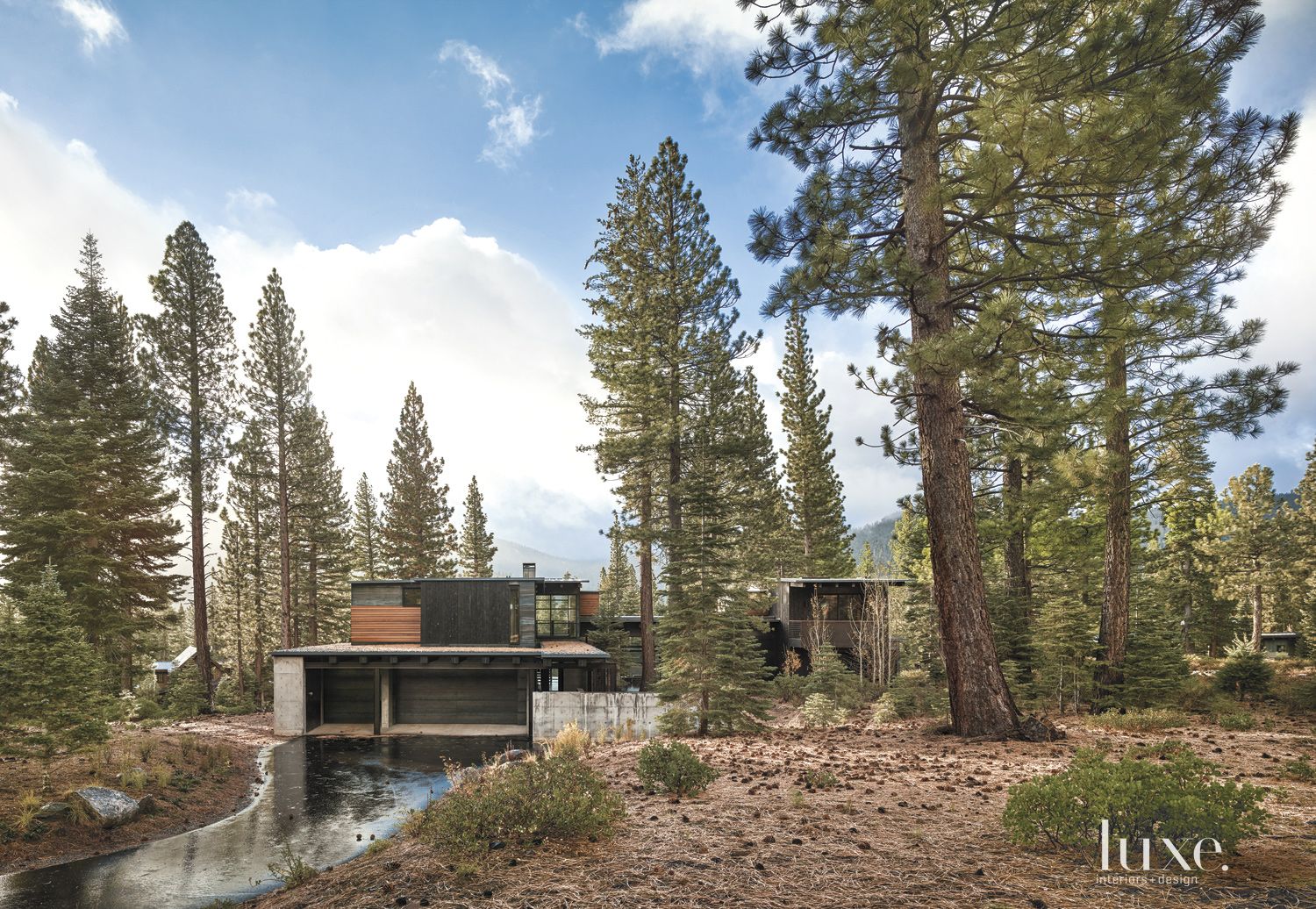 Contemporary Neutral Exterior with Pine Trees - Luxe Interiors + Design