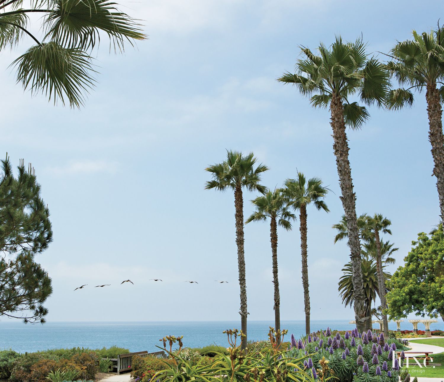 Tropical Rear Elevation Landscape - Luxe Interiors + Design